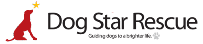 Dog Star Rescue | Best CT Dog Rescue | Adopt Rescue Dog CT