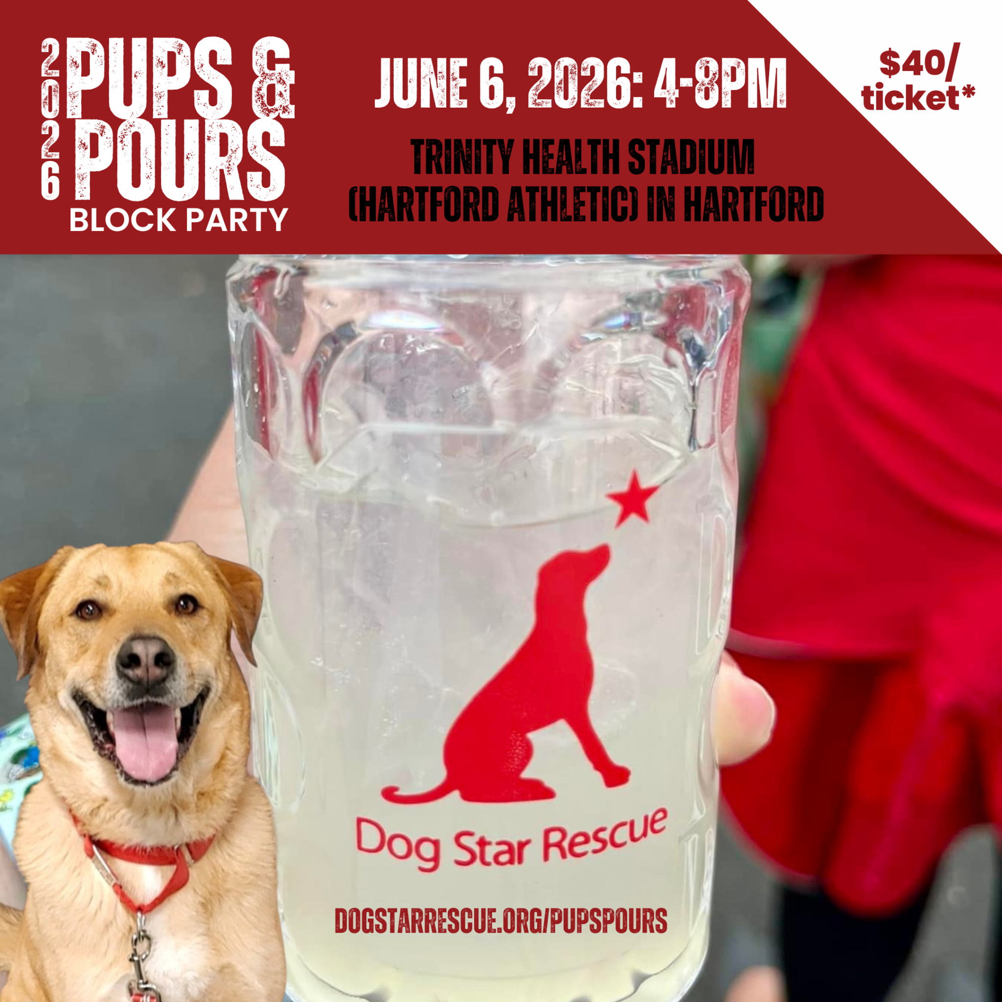 Pups Pours Block Party Fundraiser | Hartford CT | Dog Star Rescue